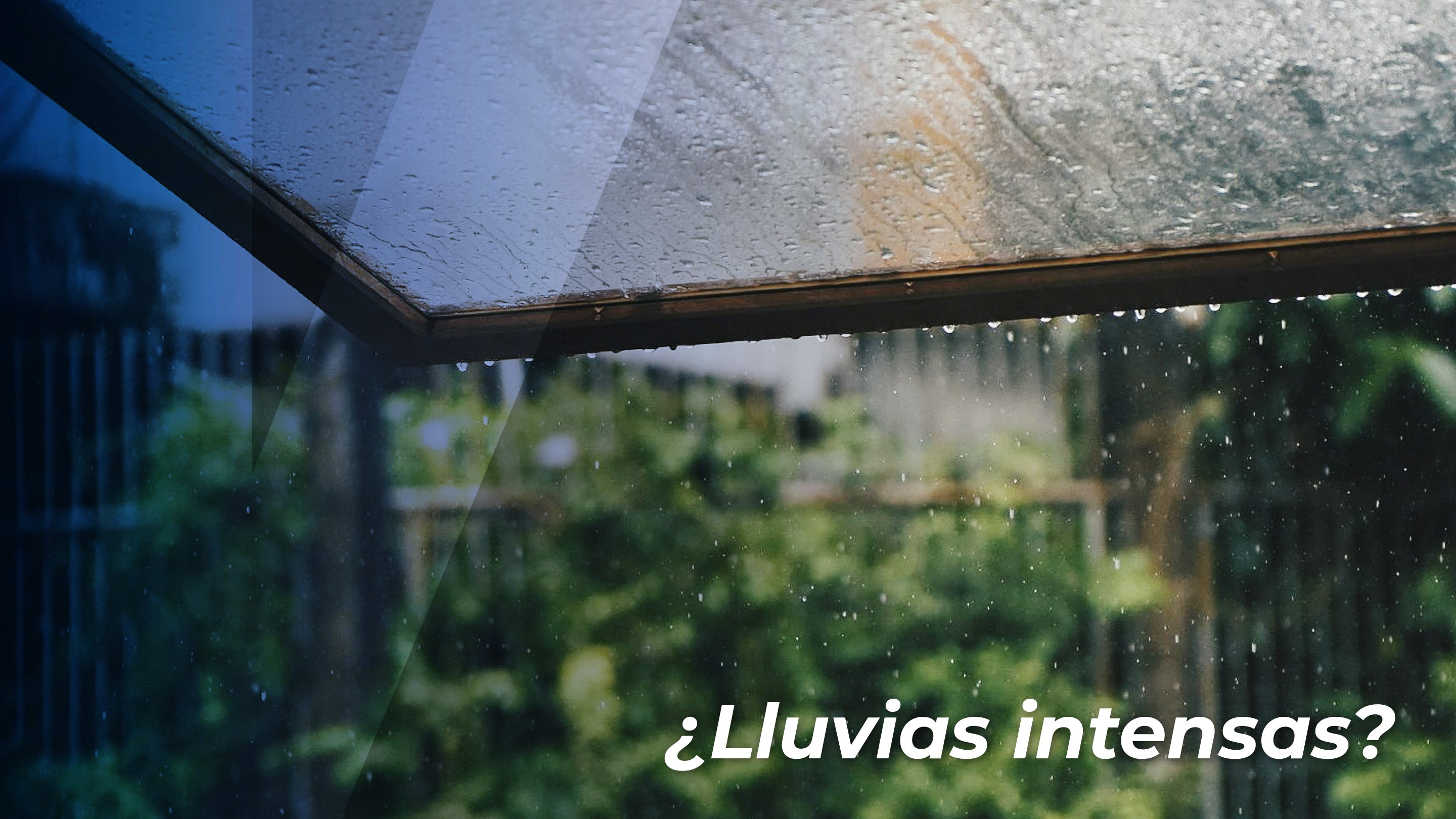 Cómo Eliminar Zancudos en Casa Rápido | Guía 2025 Efectiva y Fácil